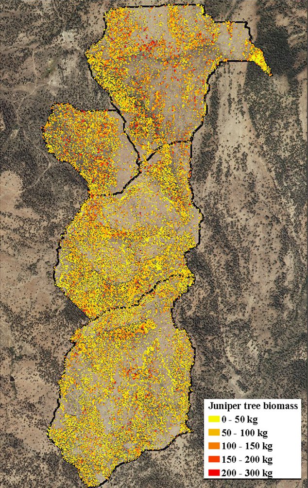Carbon in Juniper Woodlands – Idaho Lidar Consortium